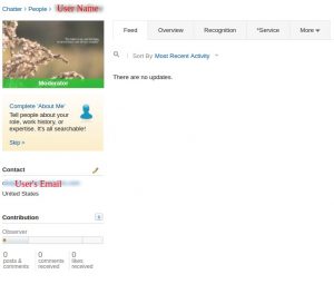 Salesforce Chatter introduction, uses and customization Webner Blogs - eLearning, Salesforce ...